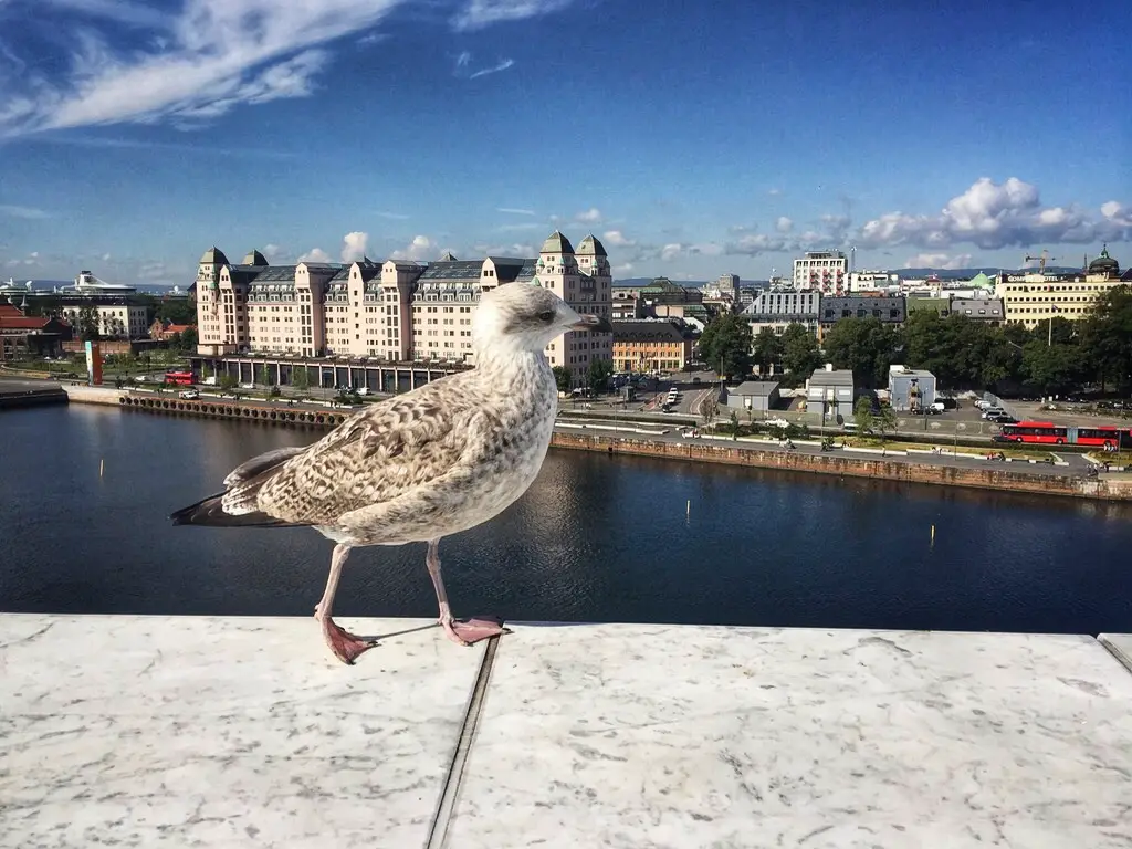 Is Riga worth visiting? Is Riga safe? And everything else you need to ...