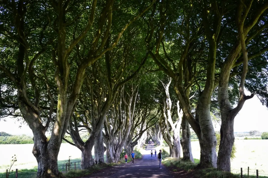 A 2 day Northern Ireland road trip itinerary - how to make the most of ...