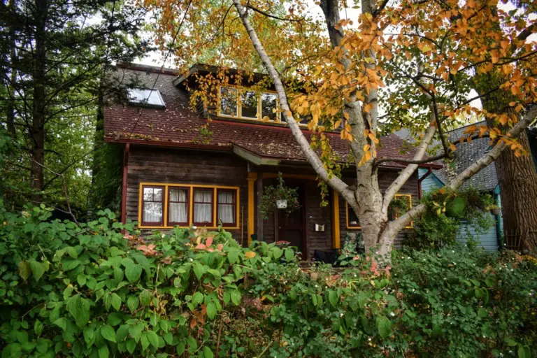 How to visit Toronto Islands during off season | Wanderlust & Life