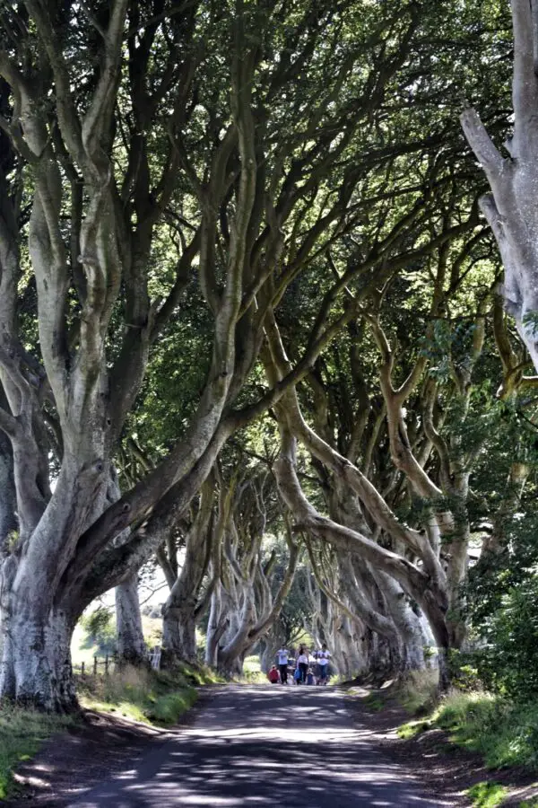 A 5 day Ireland Road trip itinerary - what to see in a short time ...