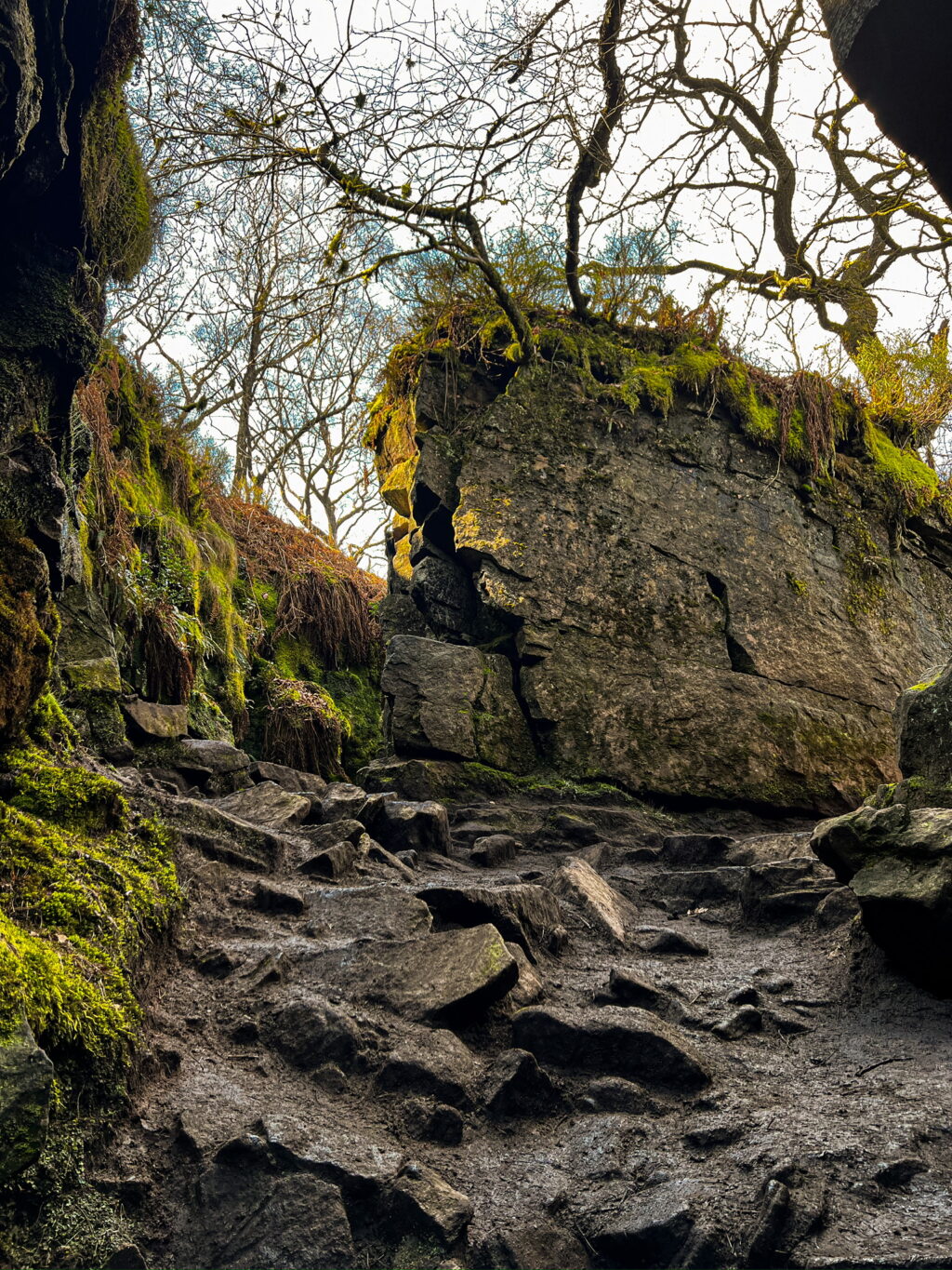 Navigating the Chee Dale Stepping Stones Trail: Everything you need to ...