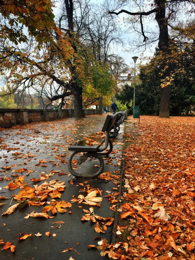 Prague in Autumn: Everything you need to know about visiting ...