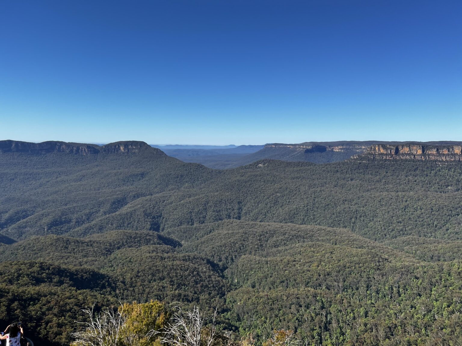 A Sydney to Blue Mountains Day Trip guide: unveiling Australia's most ...