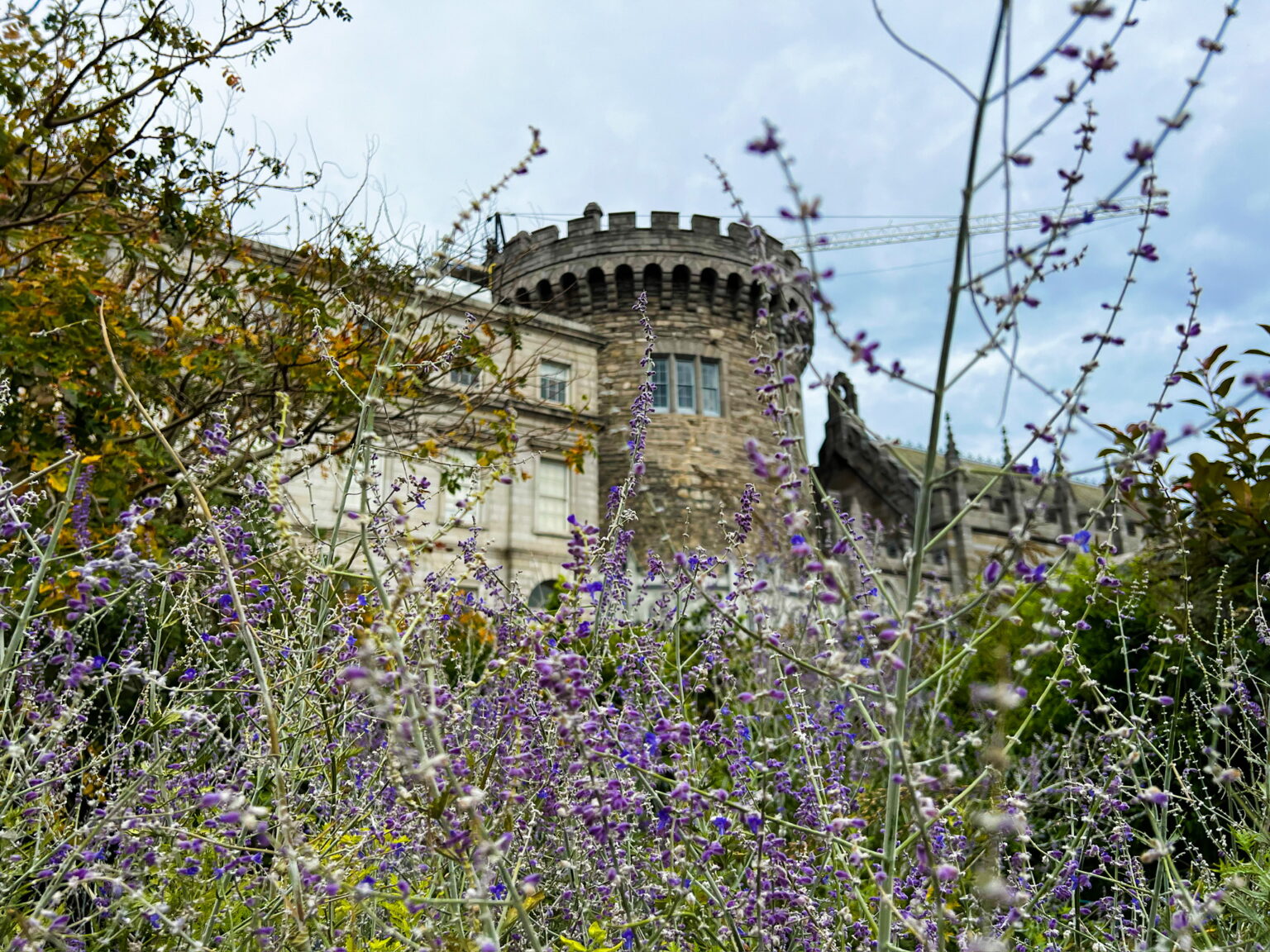 15 Essential tips if you are a nervous flyer - from someone who got ...